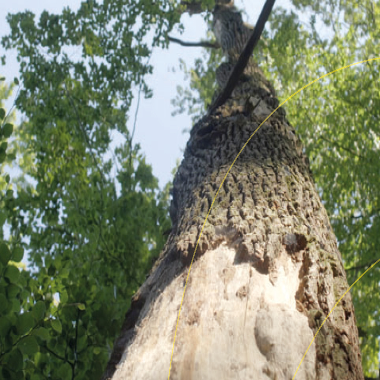 10 Lieblingsplätze in der Naturpark-Kommune Kalletal