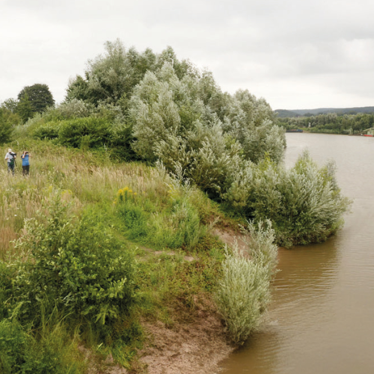 10 Lieblingsplätze in der Naturpark-Kommune Kalletal