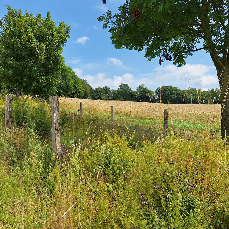 10 Lieblingsplätze in der Naturpark-Kommune Kalletal
